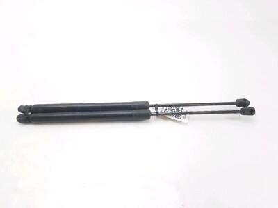 Trunk gas spring x2 used - Audi Q5 - 8R0827552A - GPA