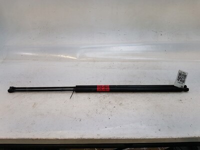 Trunk gas spring (x2) used - Renault TRAFIC - 8200162697 - GPA