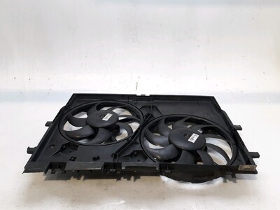 Radiator fan + mounting used - Citroen - 1671210180 - GPA