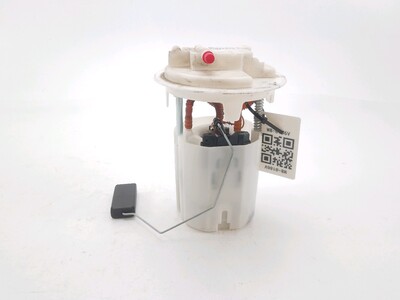 Fuel pump used - Peugeot RCZ - 1607401580 - GPA