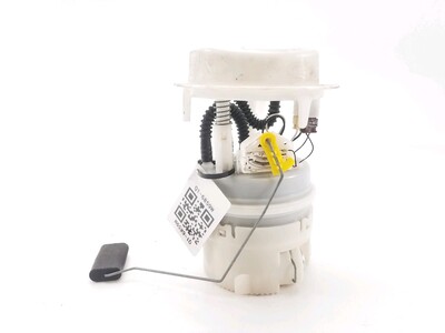 Pompe à carburant électrique occasion - Peugeot 206 - 1607401680 - GPA