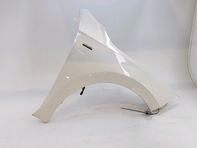 Right front fender used - Skoda RAPID - 5JA821022D - GPA