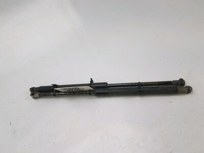 Trunk gas spring x2 used - Citroen C6 - 8731 K8 - GPA