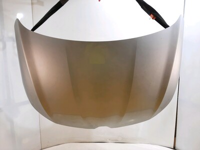 Hood (Bonnet) used - Renault MEGANE - 651002195R - GPA