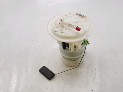 Fuel pump used - Peugeot RCZ - 1607401580 - GPA