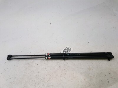 Paire verins coffre hayon malle occasion - Citroen C4 PICASSO ...