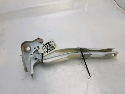 Hood hinges used - Opel COMBO - 98 164 850 80 - GPA