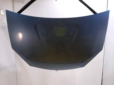 Capot occasion - Dacia SANDERO - 6001551793 - GPA