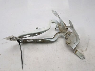Hood hinges used - Peugeot 208 - 98 232 116 80 - GPA