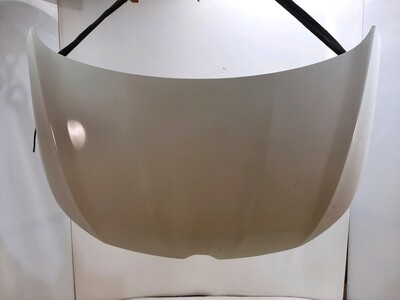 Hood (Bonnet) used - Renault MEGANE - 651002195R - GPA